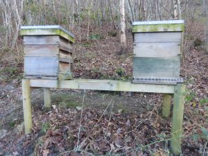 Beehive stands – Conwy Beekeepers